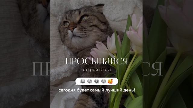 Просыпаемся