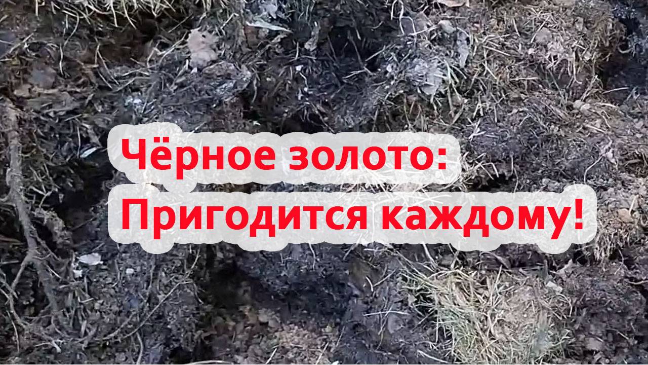 Бесплатная ценность, от которой все избавляются! Что это?