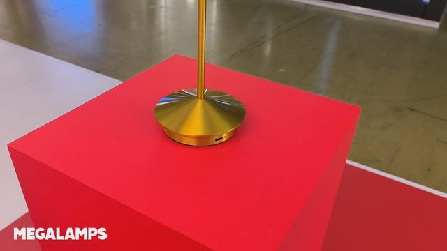 Kink light Паола