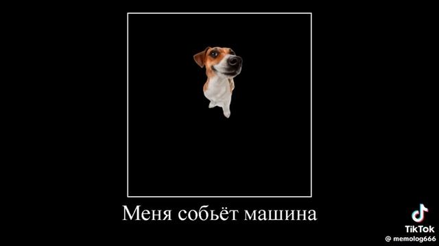 пофиг тебе да