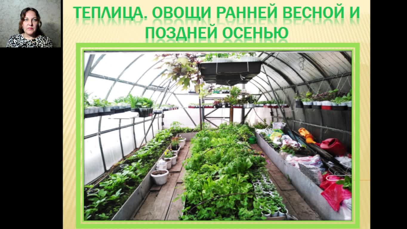 Теплица 9 месяцев 2025. Вводное занятие