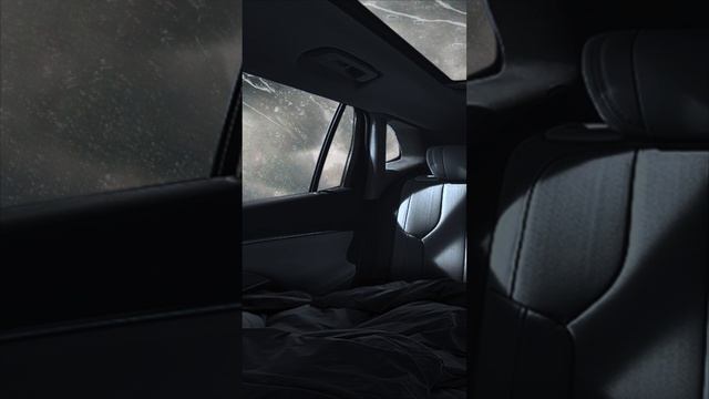 Ураганный ветер и дождь. Сон в машине.