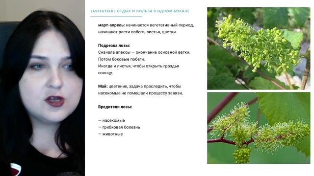 Урок 5: Лоза должна страдать