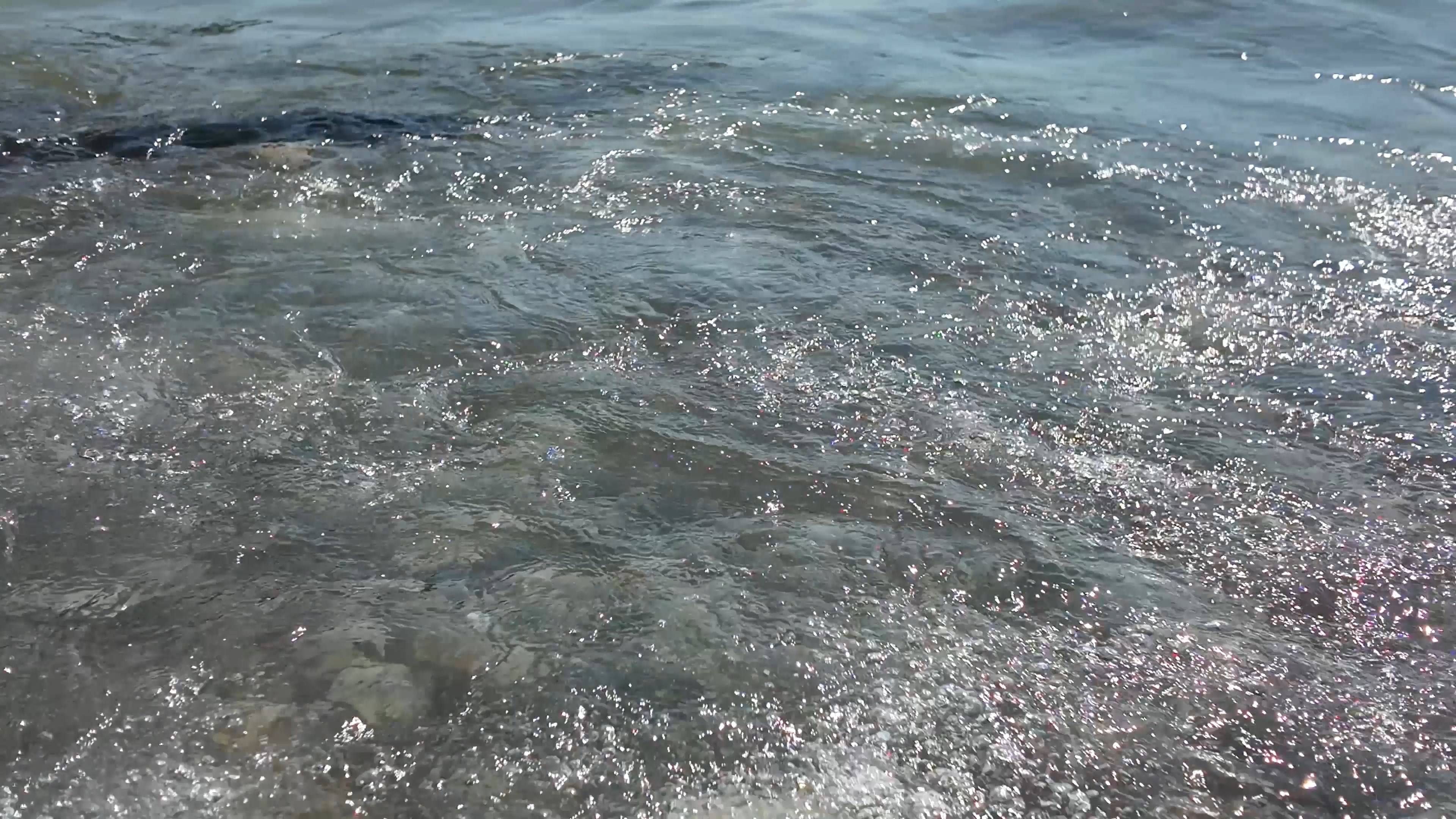 " Ъ ". Лето ! Ах, лето ! ( Big Short Video 4K ). 2024