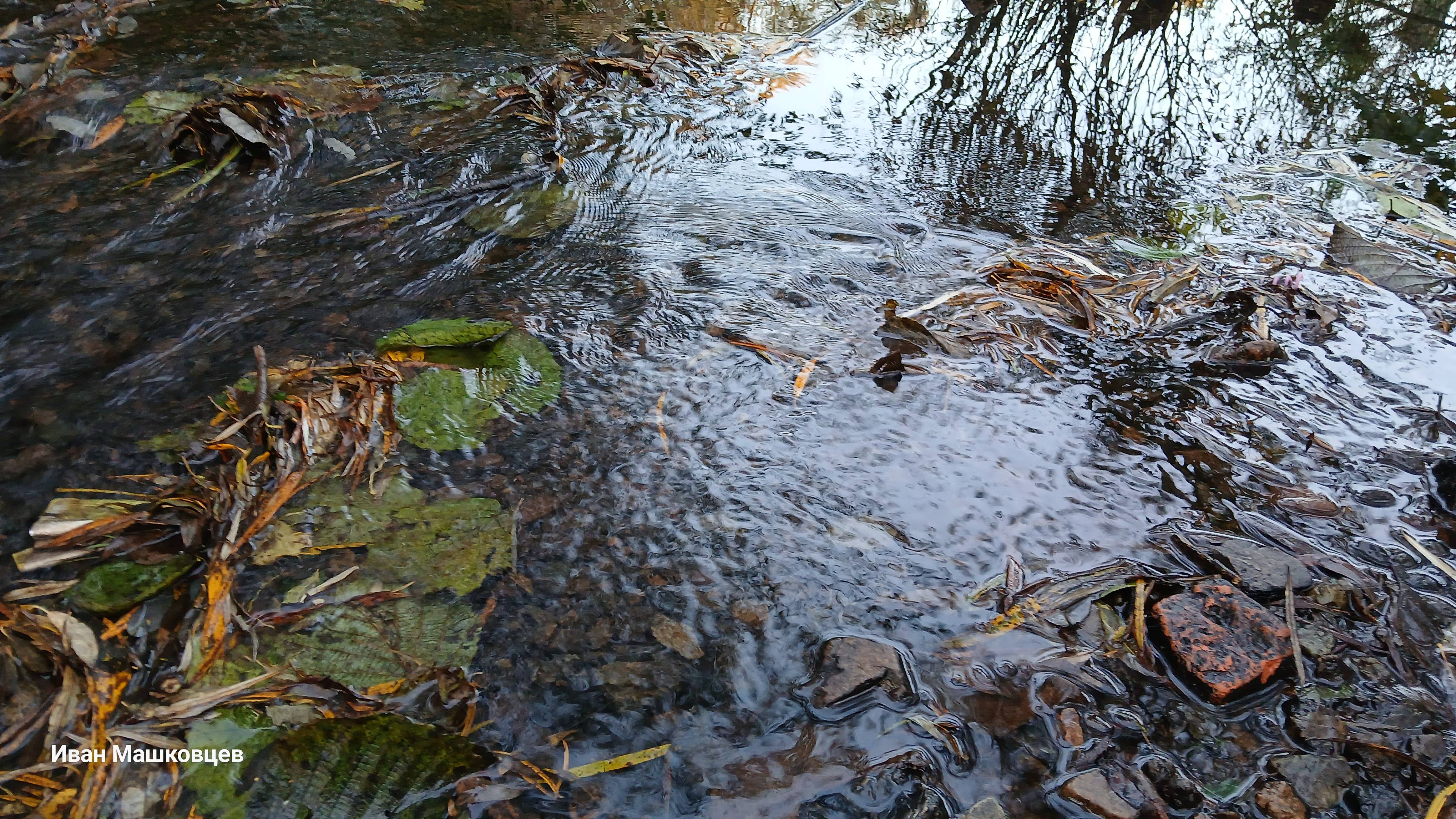 Малая горная речушка "Черёмушки"