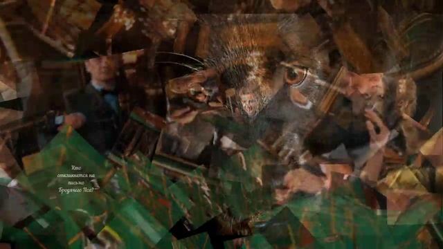 Осколки жизни