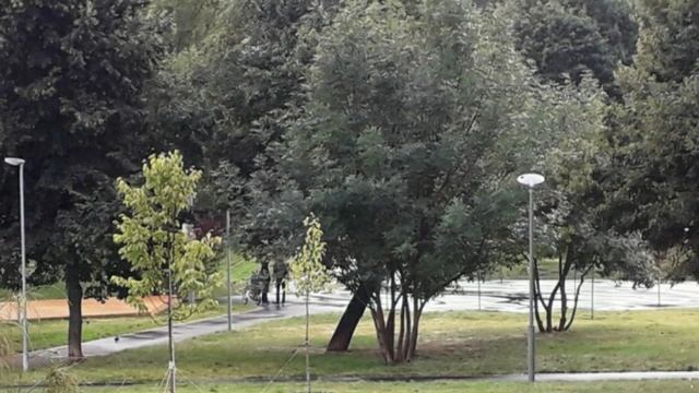 Родная Гавань