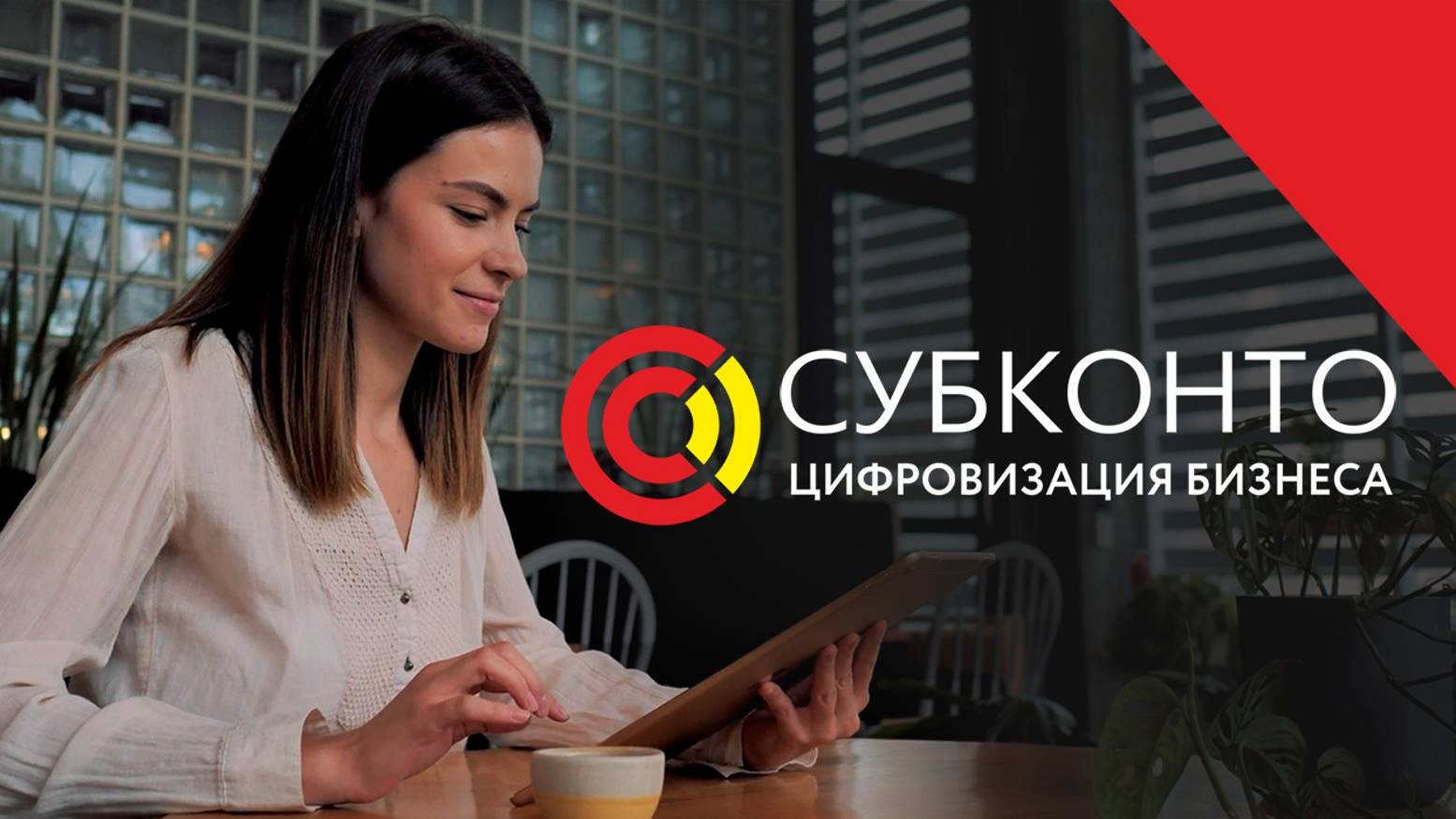 Субконто - Видеовизитка