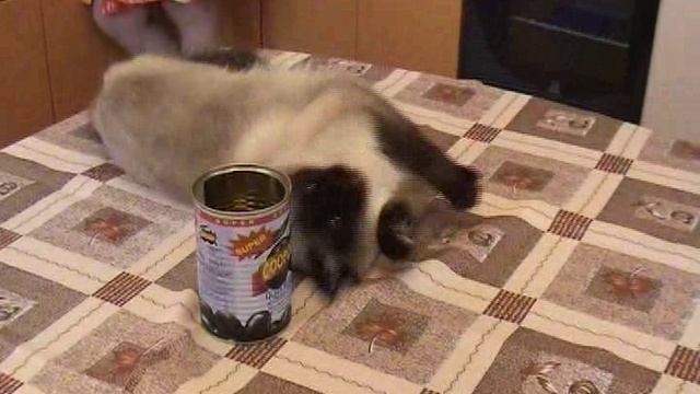 Лиза и оливки