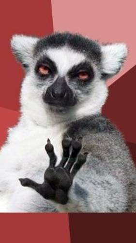 Успокойся уже