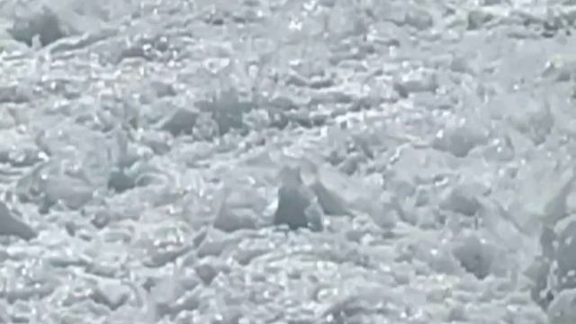 Водные грёзы и волнения: искусство живого моря. Абхазия. Сентябрь 2024г.