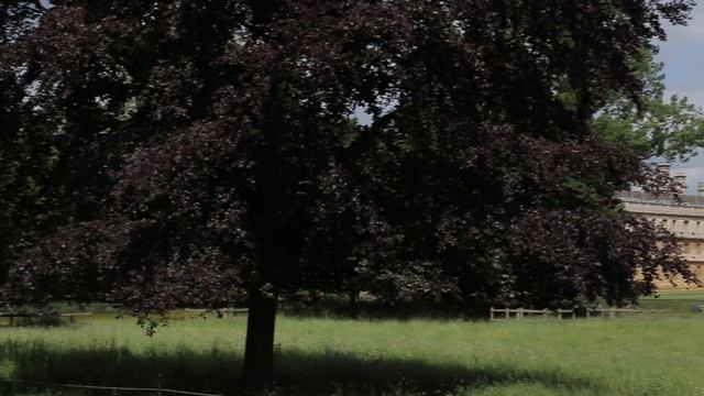 PREPARE_3_Culture_Video_08