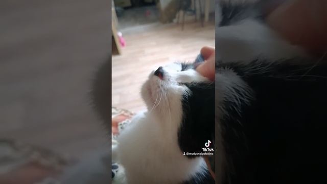 Маняша ласкуша .mp4