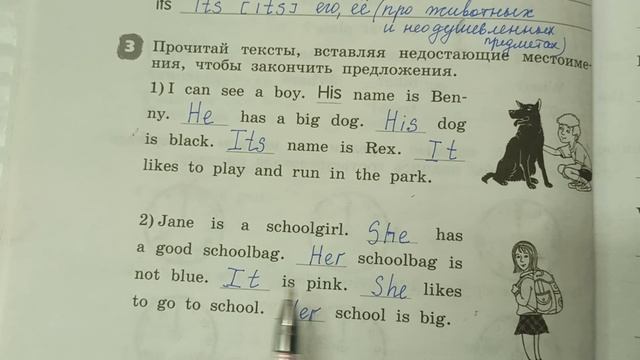 rainbow English 3 упр 2-4
