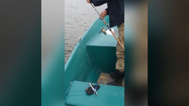 Ловля щуки весной спиннингом