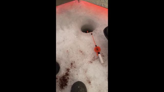 Рыбалка на Яузском водохранилище