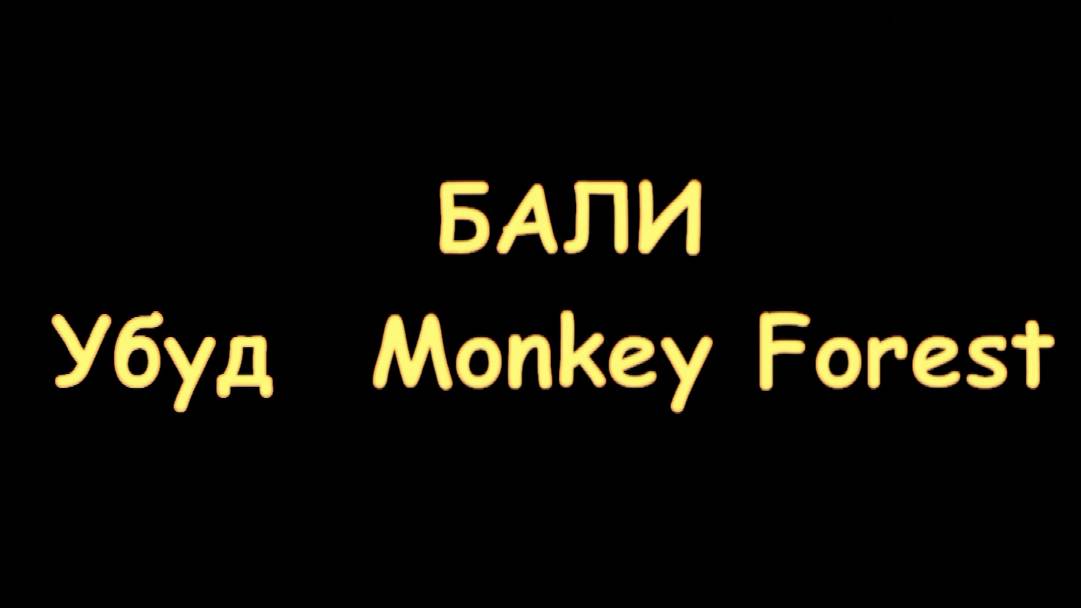 БАЛИ 2013 Обезьяны