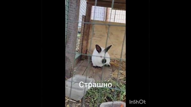 Страшно , но интересно!