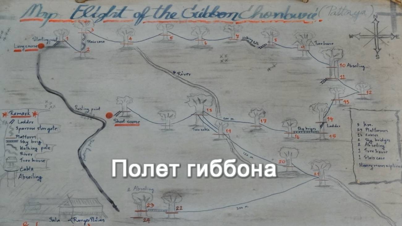 Полёт гиббона