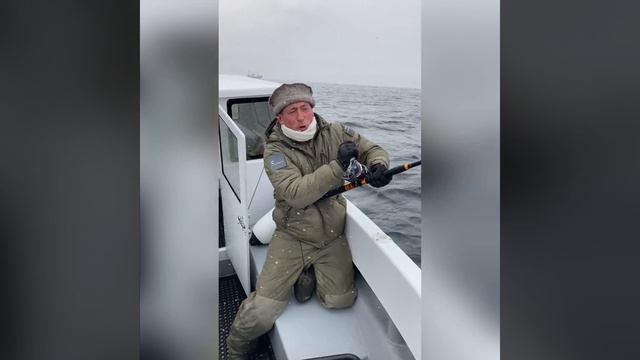 Ловля трески в Баренцевом море