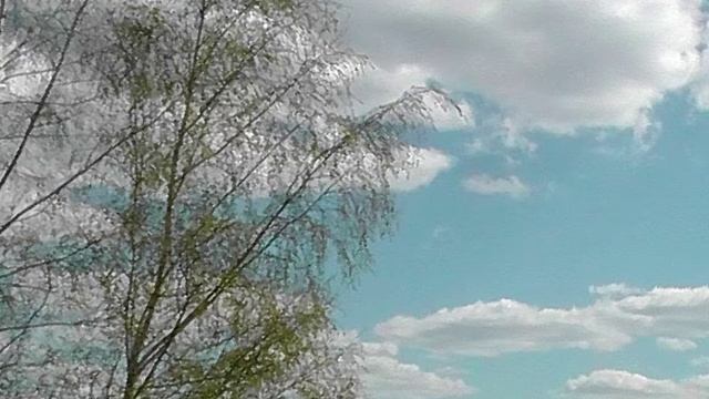Золотая гимнастика  Обновление от 16 08 20. Потоки: света: Вселенной, ангельской любви, Земли