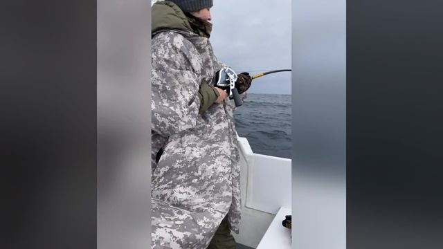 Девушка против здоровенной трески. Кто возьмет верх?