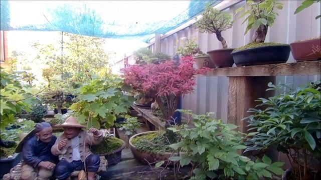 Бонсай начало осени озвучка 2 часть 2024 год