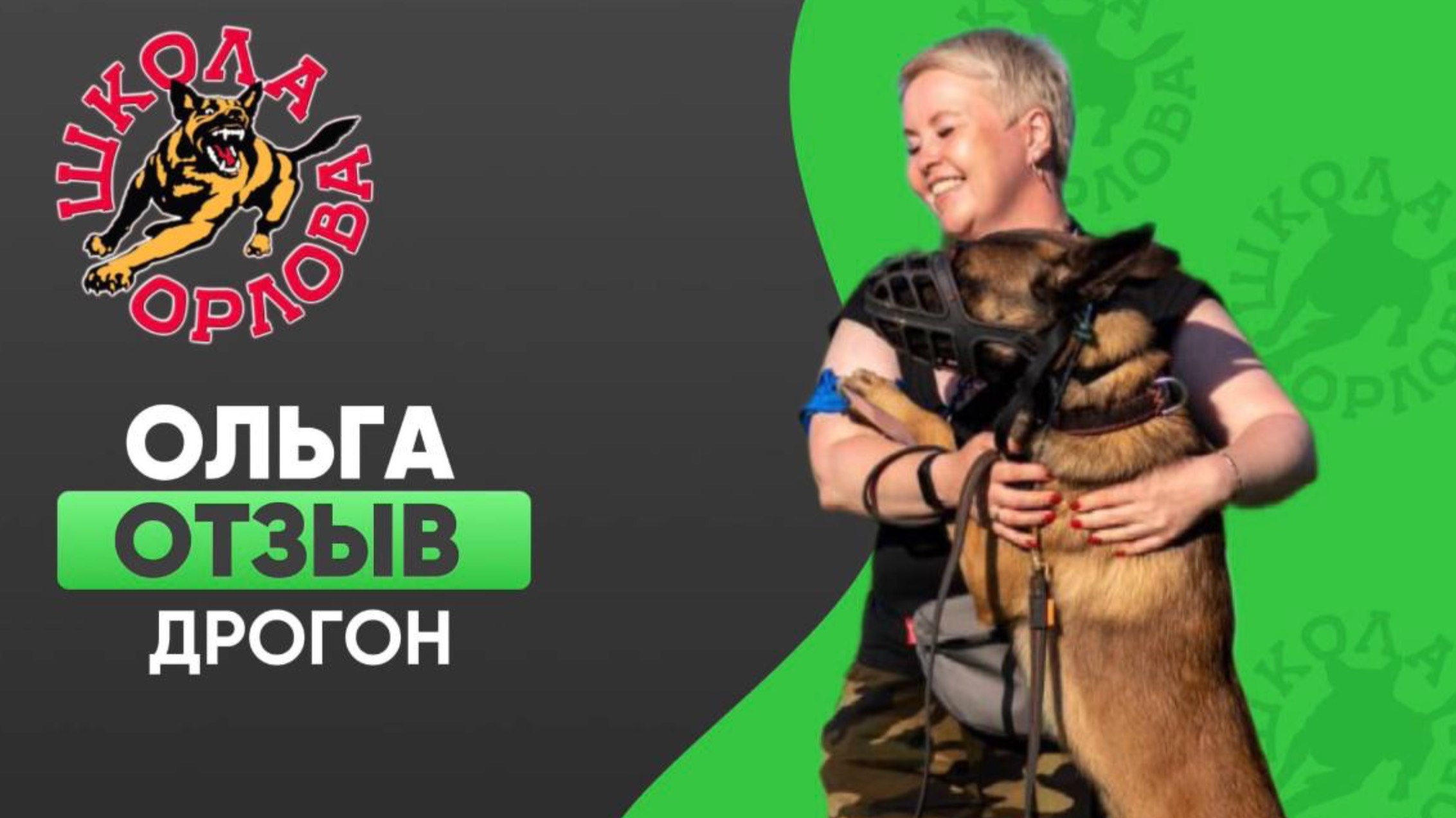 Почему упражнения и команды не помогут воспитать собаку?