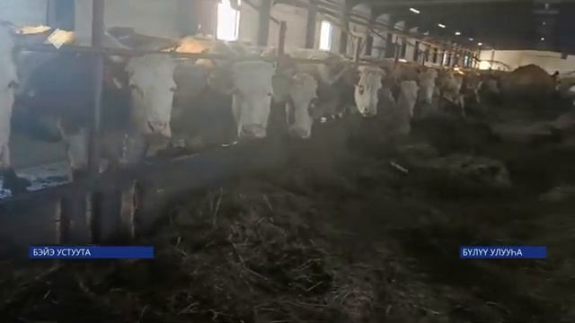 «Саха сирэ» информационнай биэрии. Олунньу  ыйын 10 күнэ 13_30