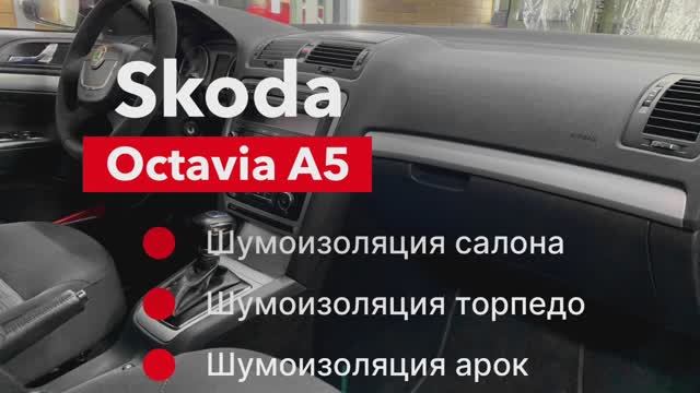 Шкода октавия А5 шумоизоляция салона, арок и торпедо