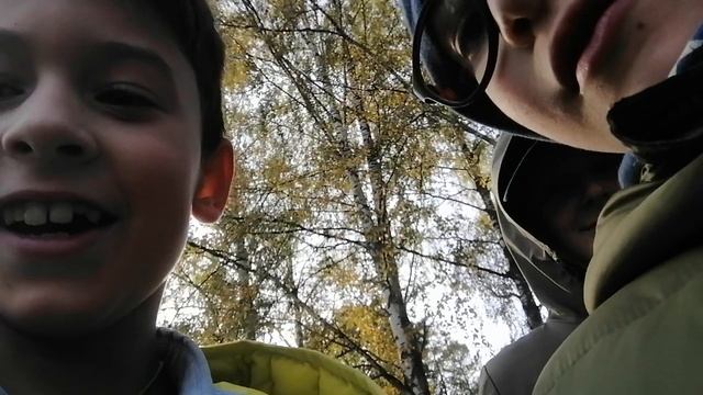 VID_20241001_152302.mp4