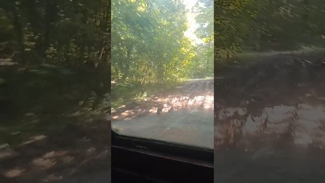 сентябрь#2023#газ 69#застрял#поездка за грибами