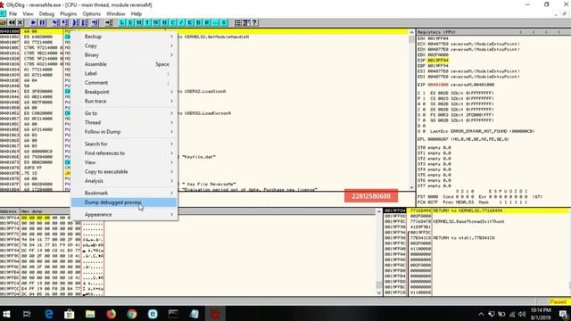 Unpacking Packers Of EXE