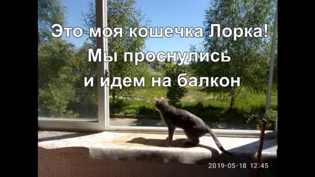 Живая медитация Солнышко здравствуй!