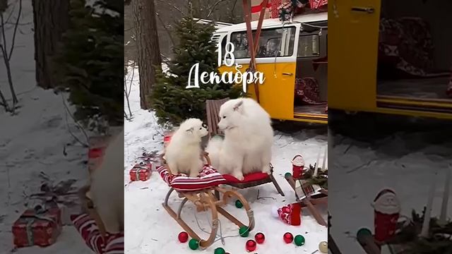 НГ 18 декабря