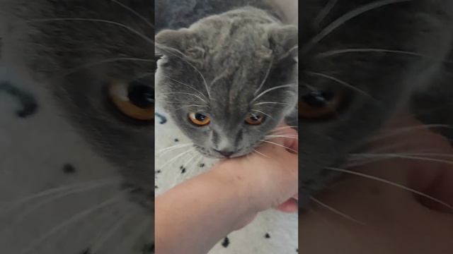 Марсюша утренний ❤