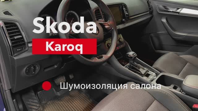 Skoda Karoq Шумоизоляция салона