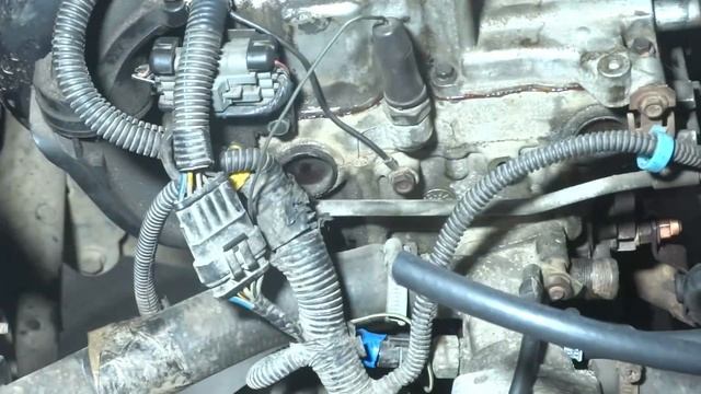 Мой первый Январь