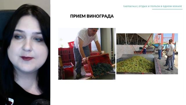 Урок 6: как производят вино