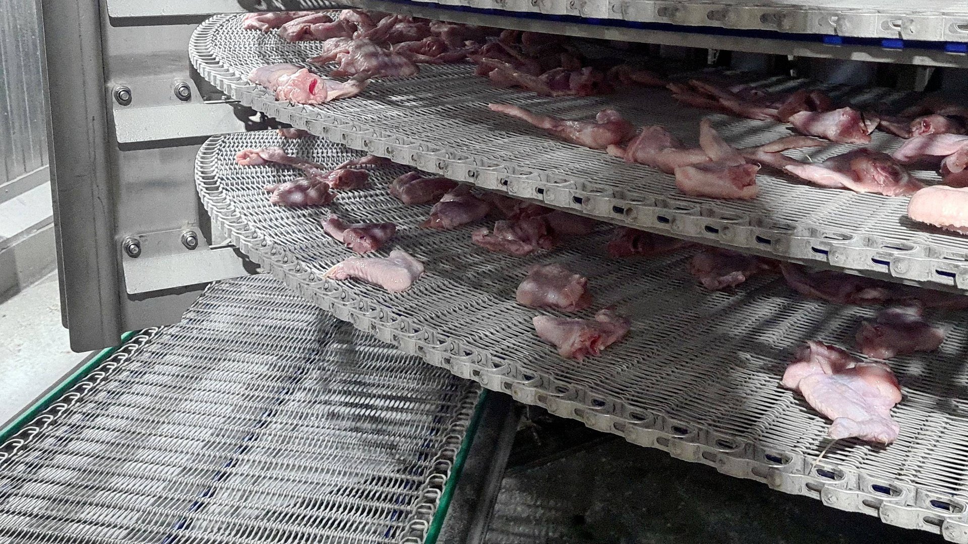 Спиральный фризер для маринованных частей птицы