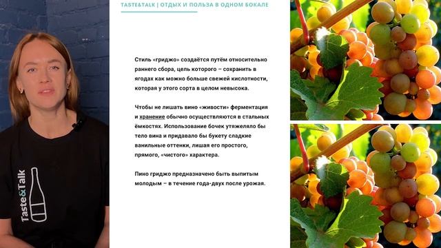 Италия: Пино Гриджио