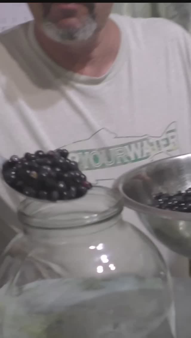 Настойка из черники