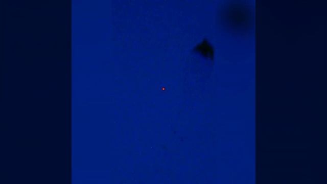 Охота на вальдшнепа на тяге