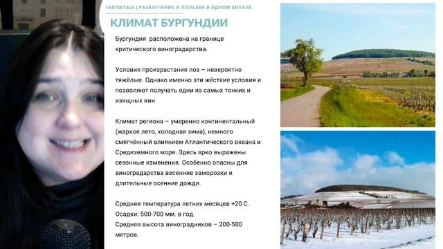 Бургундия подробнее