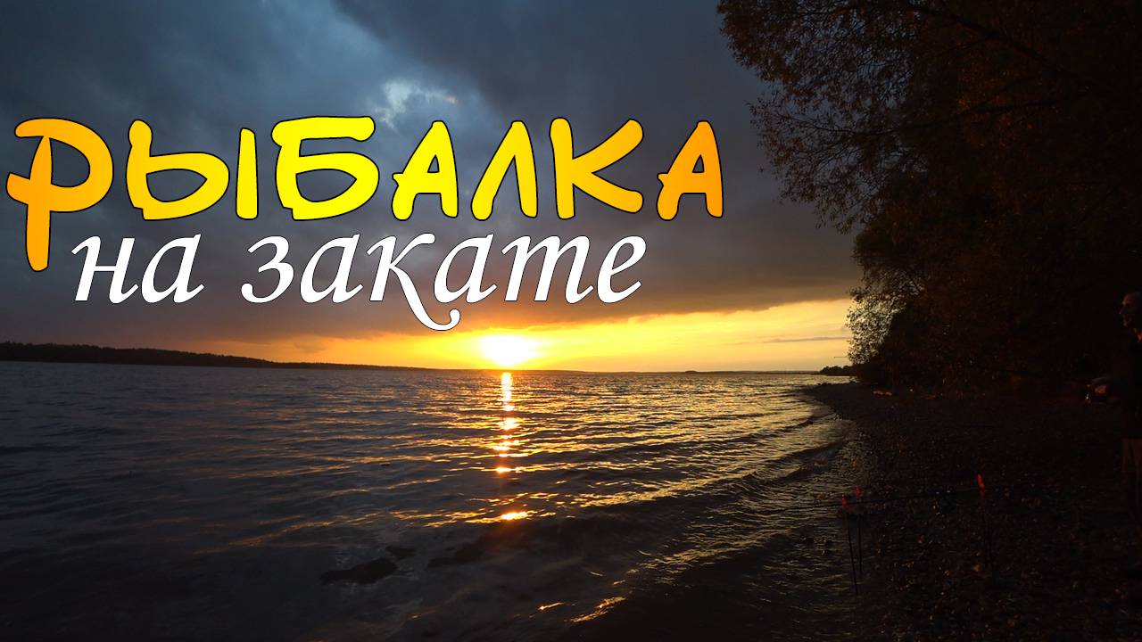 Рыбалка ночная на беляной горе плотва густера подлещик лещ