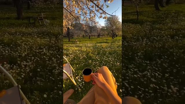 Доброе утро