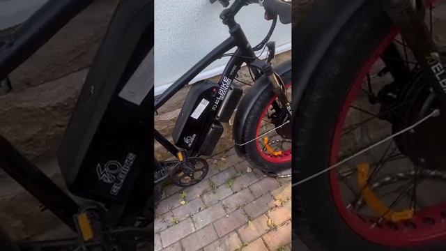 Отзыв клиента на электровелосипед Elbike Phantom Twix