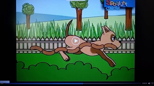 Мои питомцы Урок 3 Английский в фокусе для начинающих Spotlight Starter