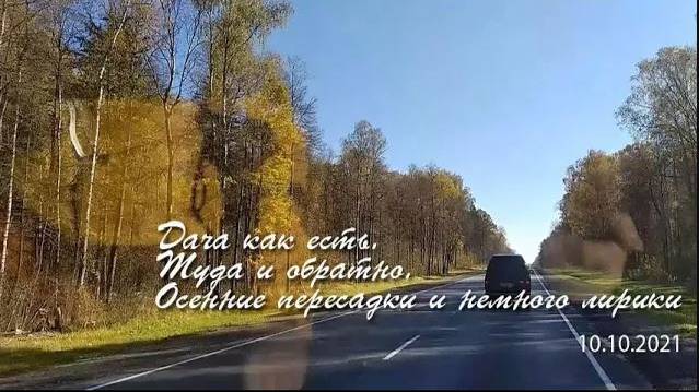 Туда и обратно. Осенние пересадки и немного лирики | Дача как есть. Хроника 10.10.2021