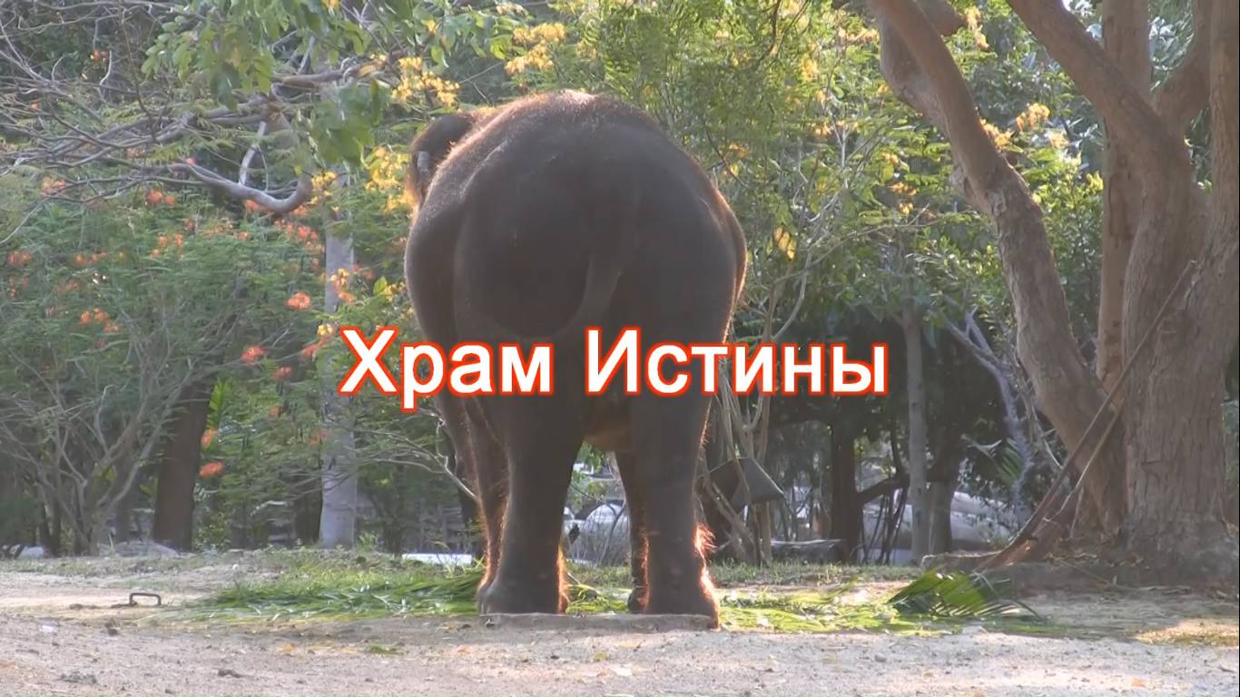 Храм Истины